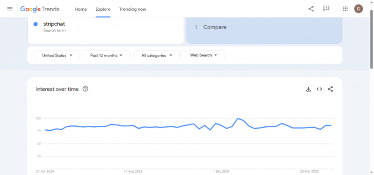 How to Launch an Adult Webcam Website From Scratch? Camiplay Blog